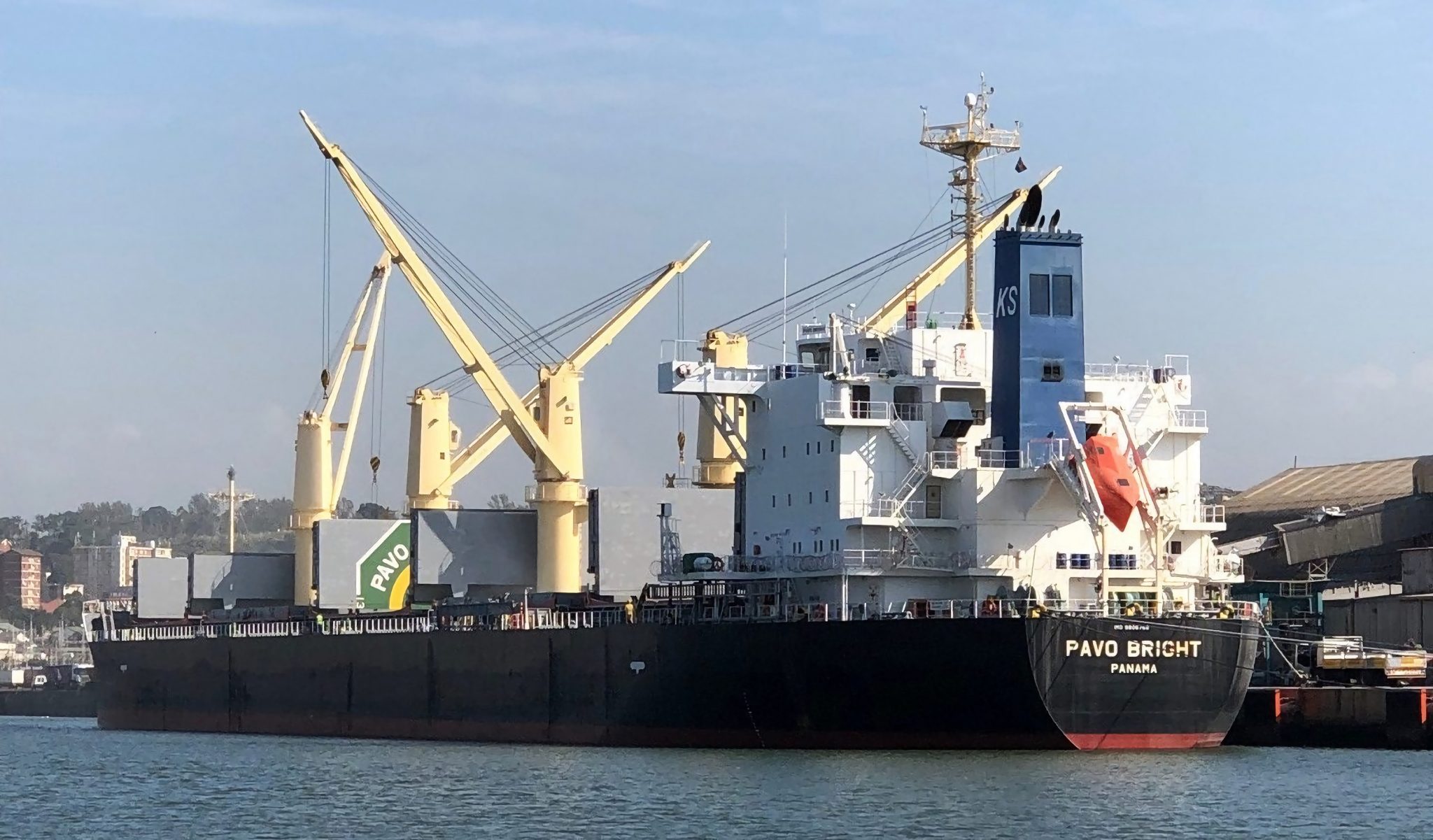 MV PAVO BRIGHT - NEXUS Intertrade